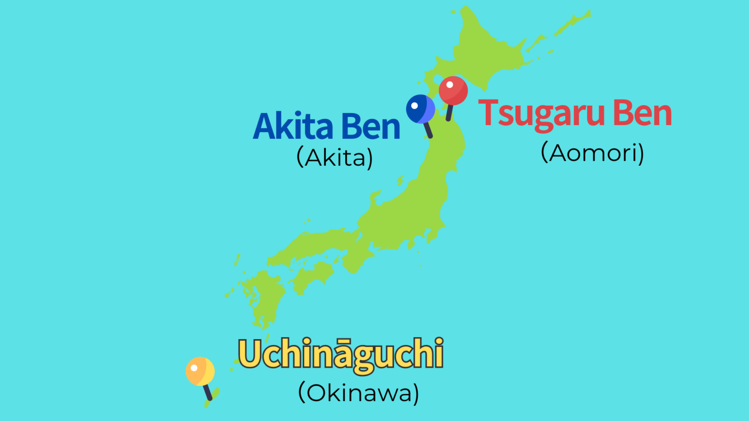 Japanese Dialects: The Unique Local Languages of Japan